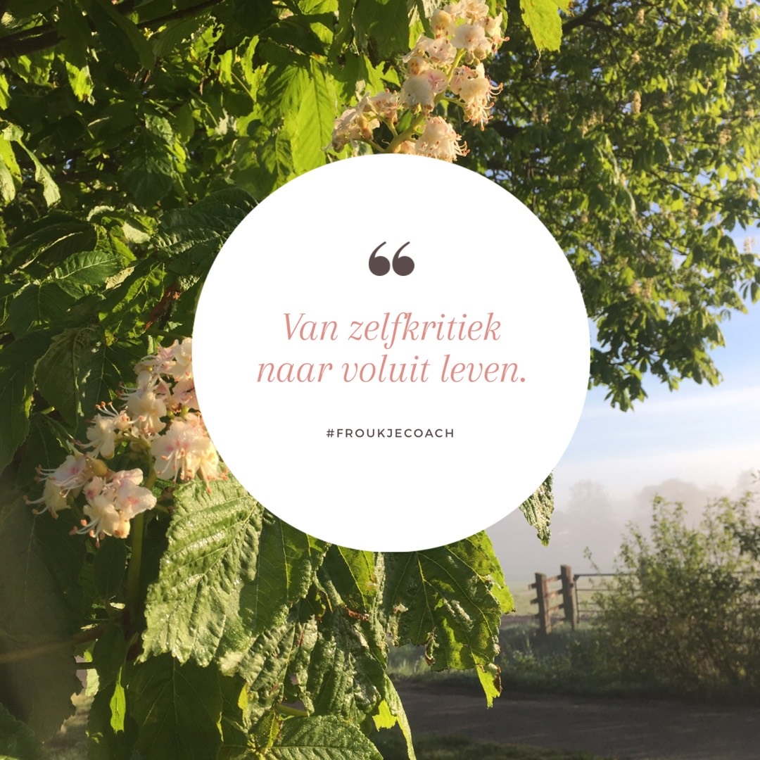 Van zelfkritiek naar voluit leven - Froukjecoach - Persoonlijke ...